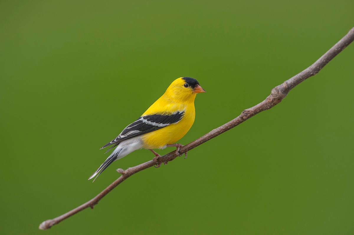 Jersey Jottings | JerseyMan Magazine